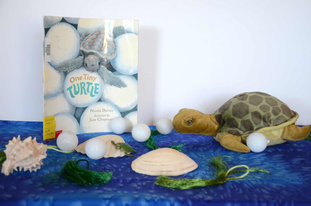 Westcoast Early Learning Library (WELL)